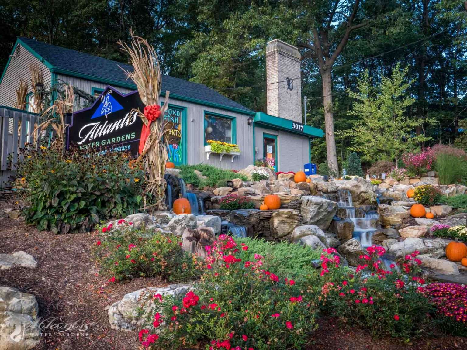 Premium Pond Supplies | Build Your Dream Water Feature